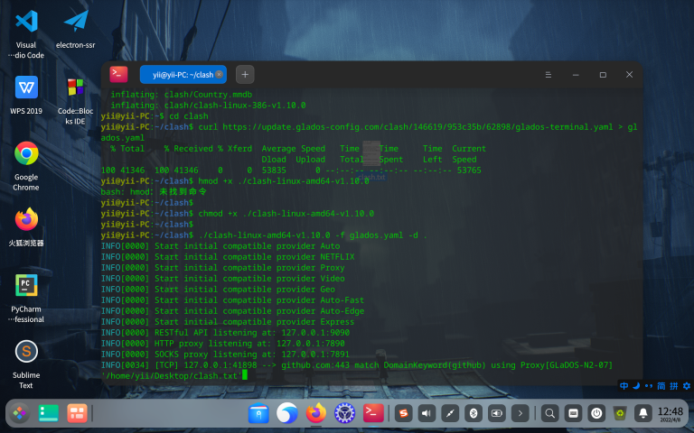 Linux环境下配置Clash（终端运行） – Rerizon Yi 's Blog